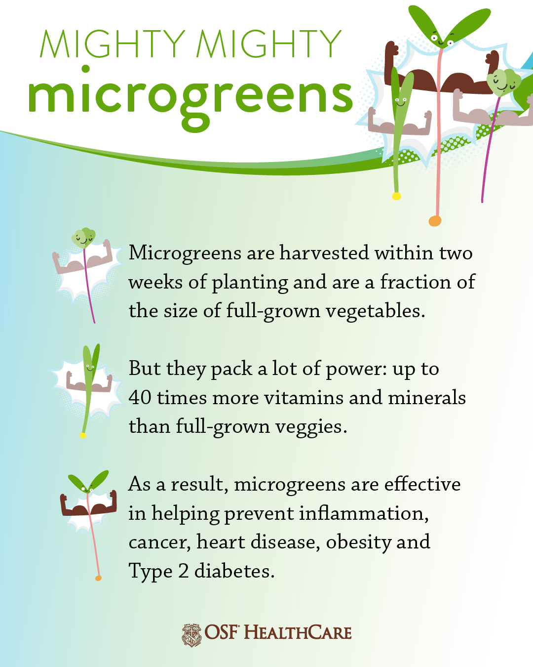 Microgreens: Big nutrients in a small plant | OSF HealthCare | OSF ...