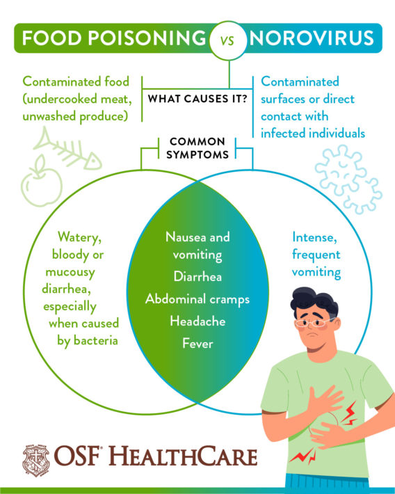 Food Poisoning vs. Norovirus: How to tell the difference | OSF ...